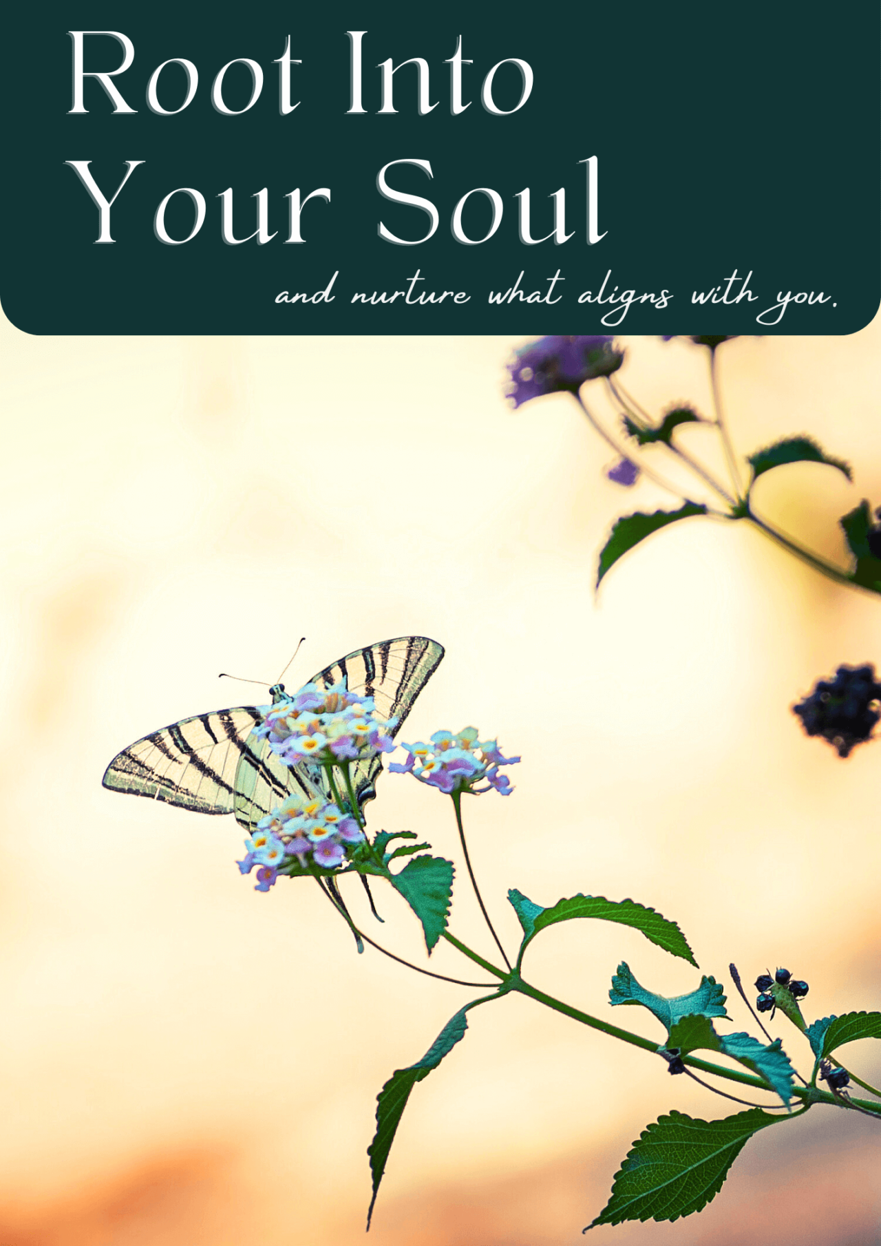 Soul Seeds™ Guide - Feminine Sage Wisdom